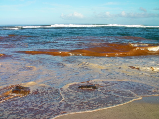 Himalayas and Polluted Water at Stand Up Paddle Surfing in Hawaii ...